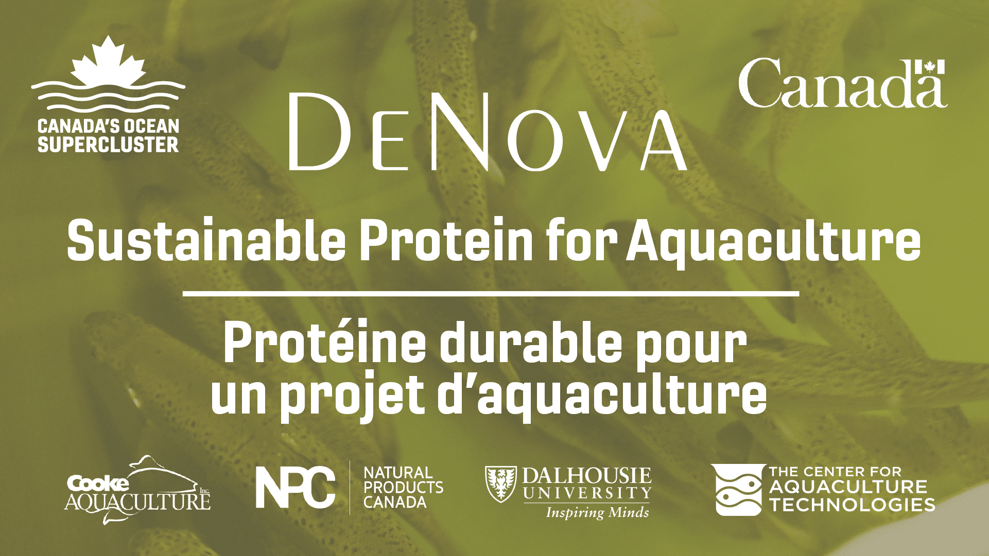 Sustainable Protein For Aquaculture Project - Canada's Ocean Supercluster