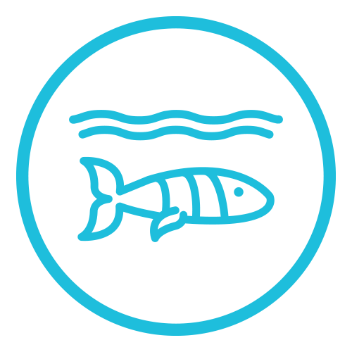 Ambition 2035 – Canada's Ocean Supercluster